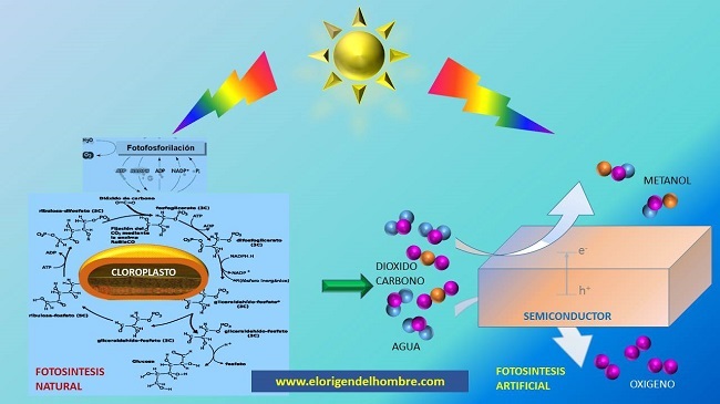 fotosintesis artificial