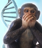 FOXP2 el Gen del Lenguaje