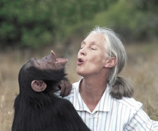 FOXP2 el Gen del Lenguaje