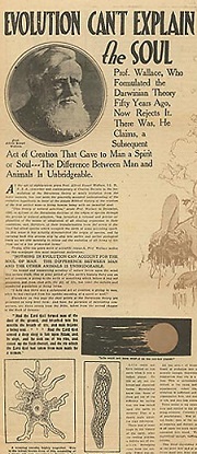 Teoria de Wallace, Walacismo